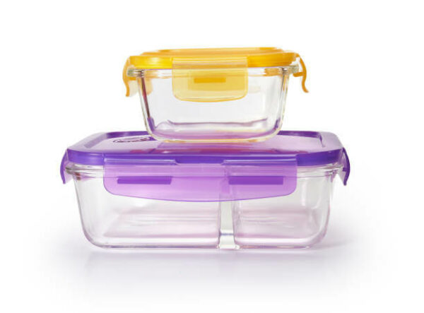 Types Of Lunch Box 101 Guide- Nicety